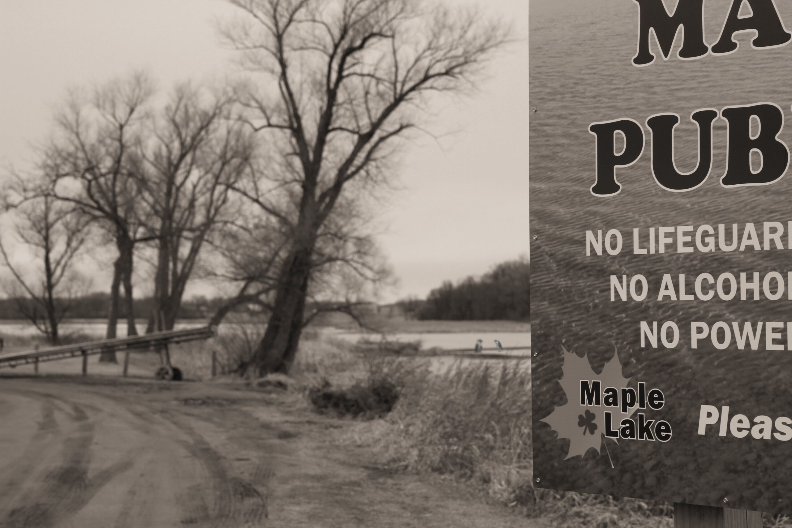 Rare sighting at Maple Lake | Maple Lake Messenger