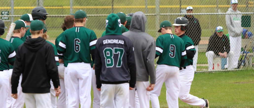 Irish move on in Section 5AA tournament play | Maple Lake Messenger