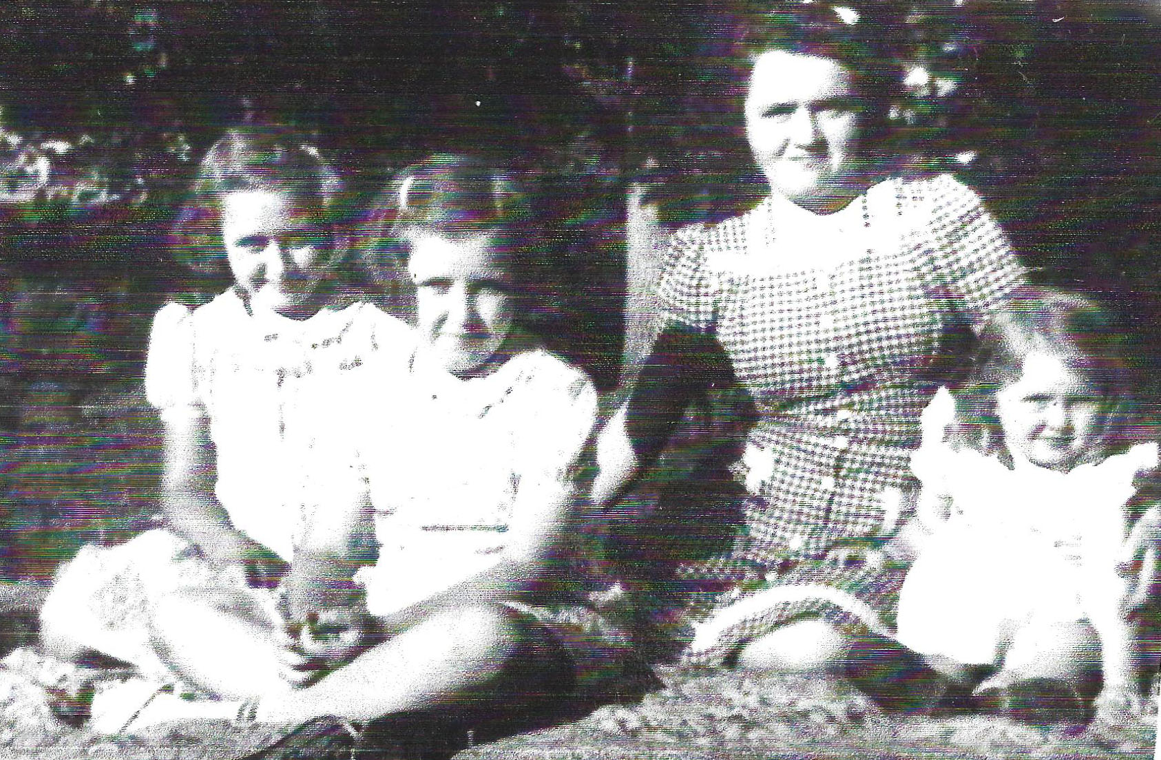 Library archival corner The Haverty Family History Part IV.I | Maple ...