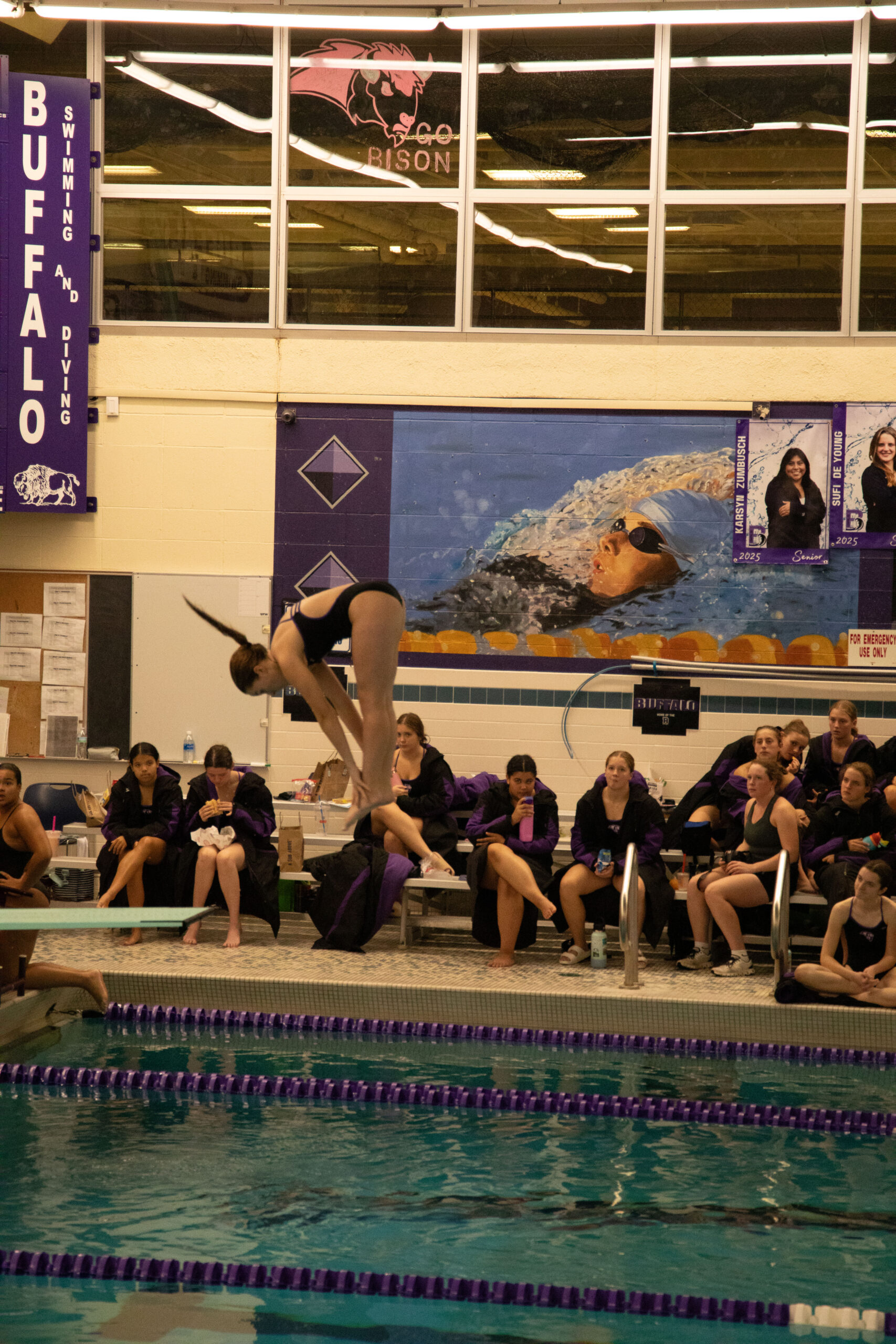Irish dive with the Bison | Maple Lake Messenger