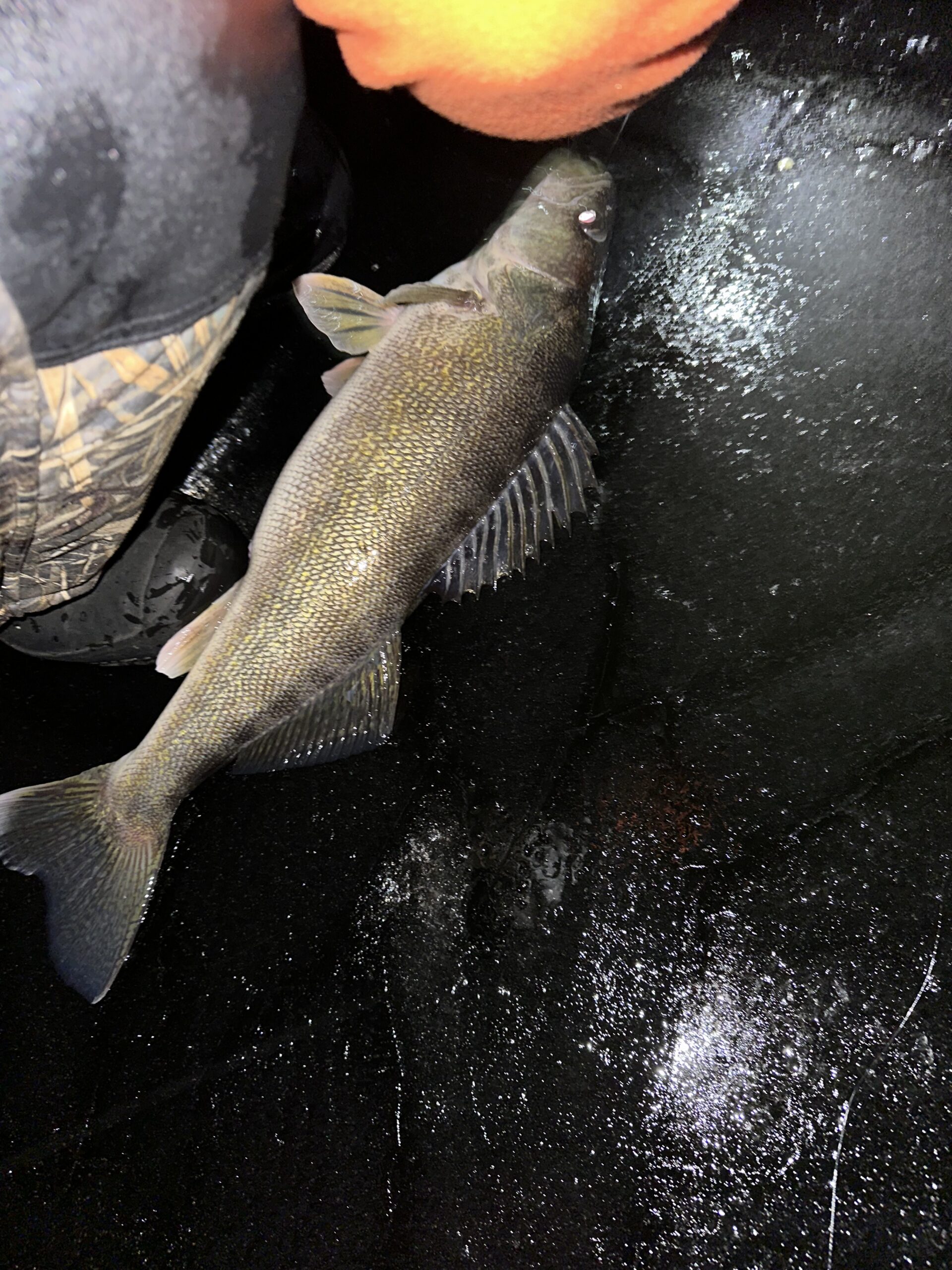 Hook-setting devices allowed for ice fishing Hegle Door Sales, Inc ...